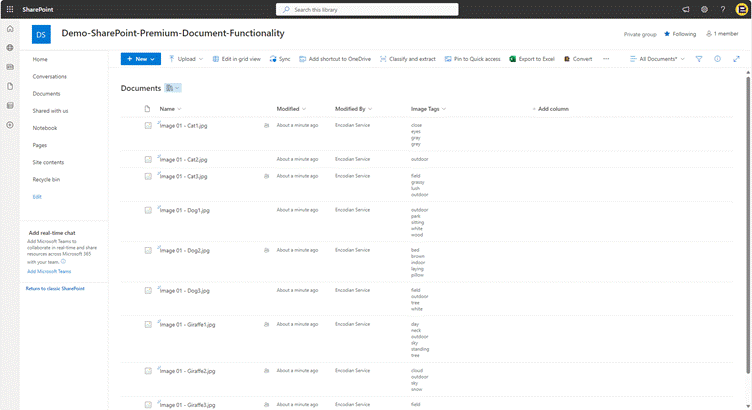 The Key Features of SharePoint Premium – Aaron Rendell